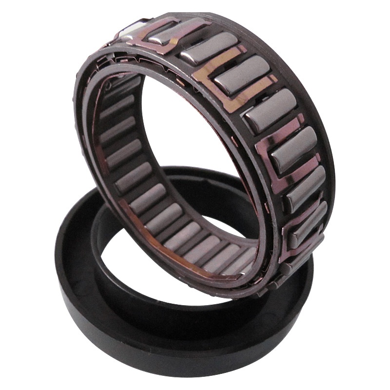 DC/BWC/BW/Xseries sprag cage freewheel clutch