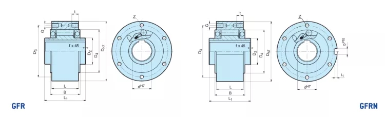 GFR series ratchet roller ramp one way clutch freewheel clutch